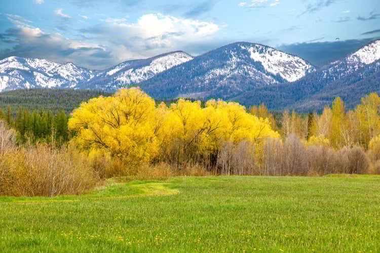 The Best Time to Visit Montana: A Seasonal Guide to Big Sky Country